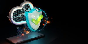 Secure Custom Web App Development: Mitigate Risks and Ensure Data ...